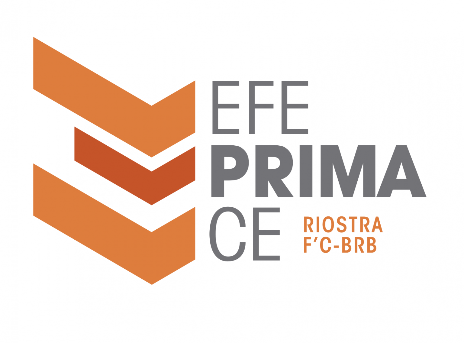 Riostras F’C-BRB - Protección sísima EFE PRIMA CE